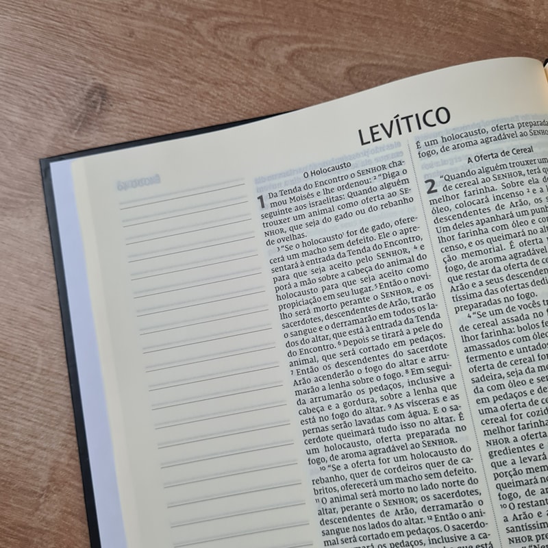 Bíblia Sagrada Lettering | NVI | Capa Dura com Espaço para Anotações