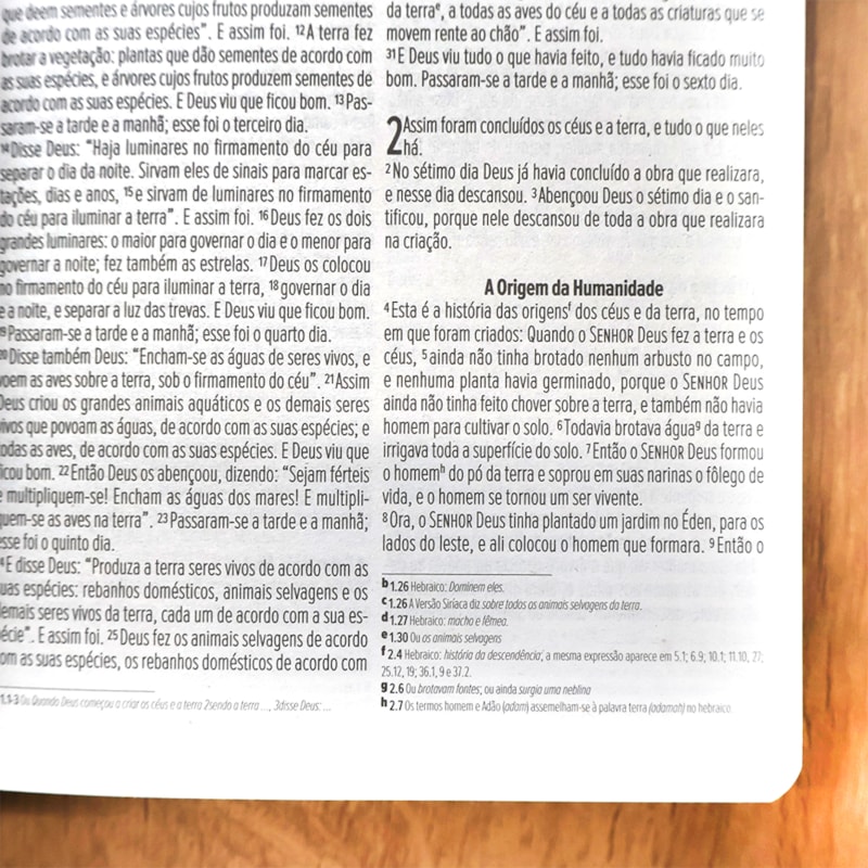 Bíblia Sagrada Lettering | NVI | Letra Normal | Capa Brochura