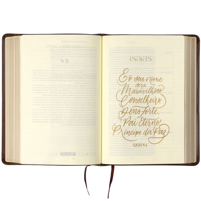 Bíblia The Purpose Book | A21 | Letra normal | Espaço para anotações ...