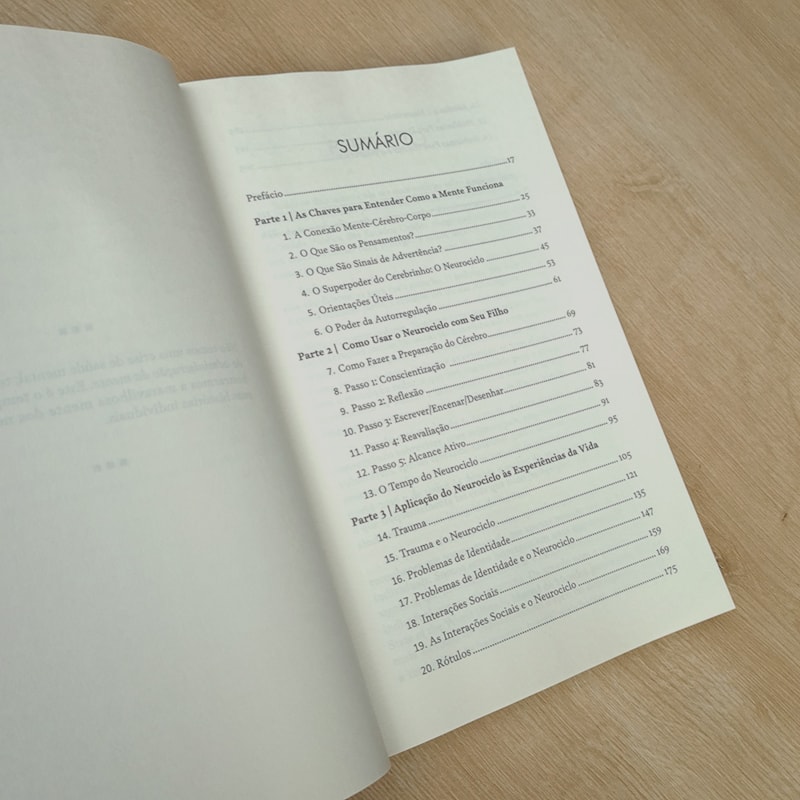 Como Ajudar seu Filho a Organizar Sua Desordem Mental | Dra. Carolina Leaf