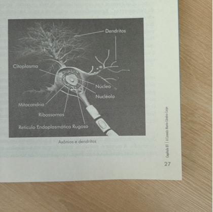 Como Ajudar seu Filho a Organizar Sua Desordem Mental | Dra. Carolina Leaf