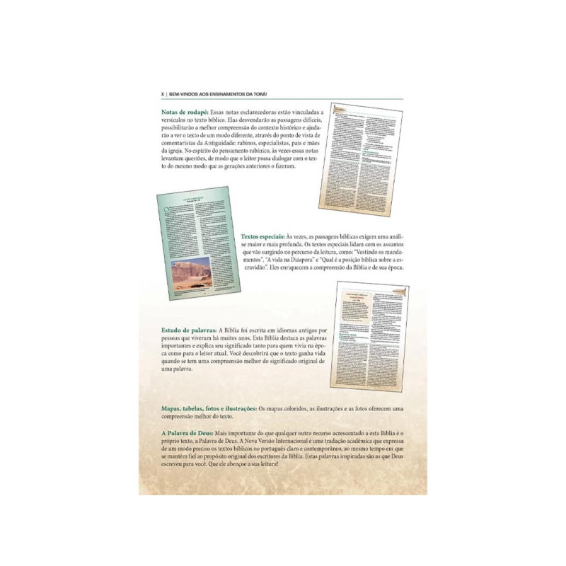 Ensinamentos da Torá | Thomas Nelson