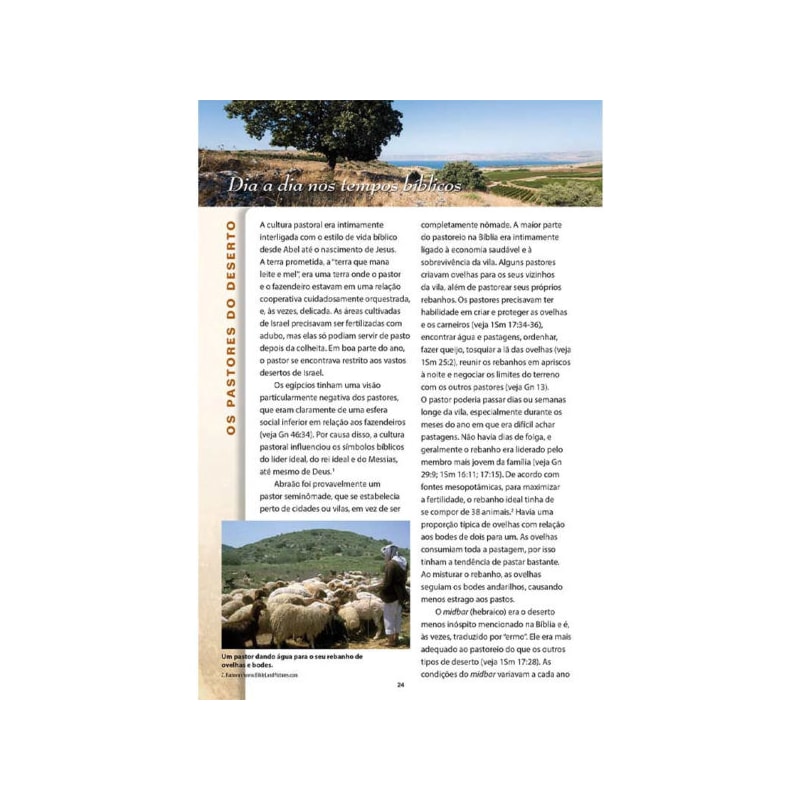 Ensinamentos da Torá | Thomas Nelson